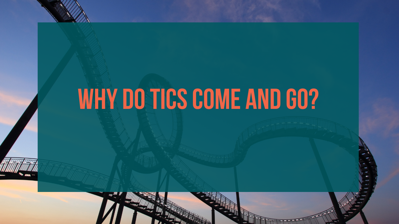 Tic Symptom Variability: Influencing Factors