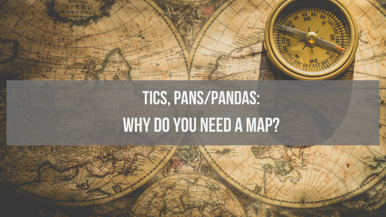 Blog - Tic Disorders | PANS/PANDAS | Vocal/Moter Tics